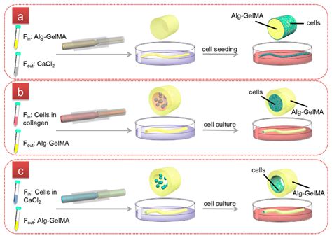 Microfluidics Based Fabrication Of Cell Laden Hydrogel Microfibers For