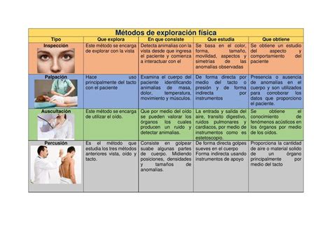 Métodos De Exploración Física Sofía Gonzaléz Udocz