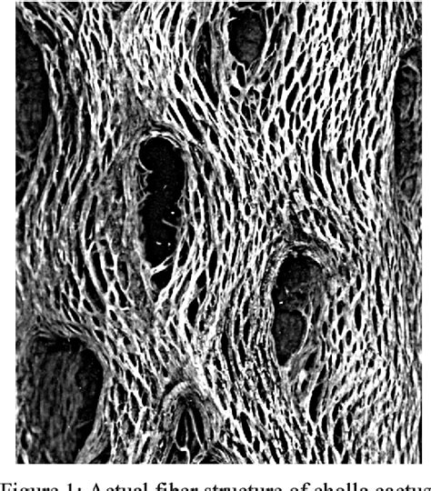 Figure 1 From A Comparison Of Methods For Using Genetic Algorithms To Guide Parametric