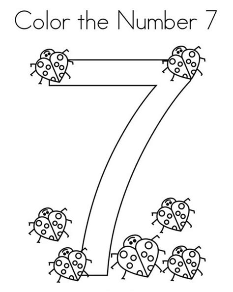 Number 7 Pictures