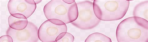 flow cytometry and cell sorting comparison biocompare the buyer s
