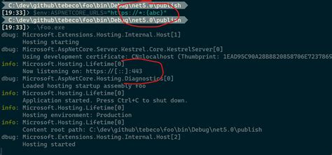 Kestrel Port Binding Default To 80 Or 443 No Errorwarninfodebug