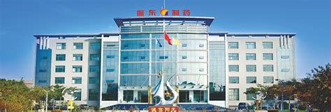 振东制药股份