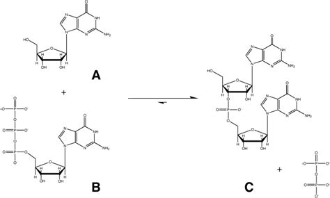 Rna Catalysis Thermodynamics And The Origin Of Life Pmc