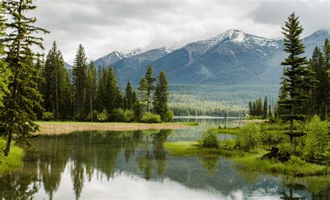 Technical Updates From The Sbti Science Based Targets Initiative