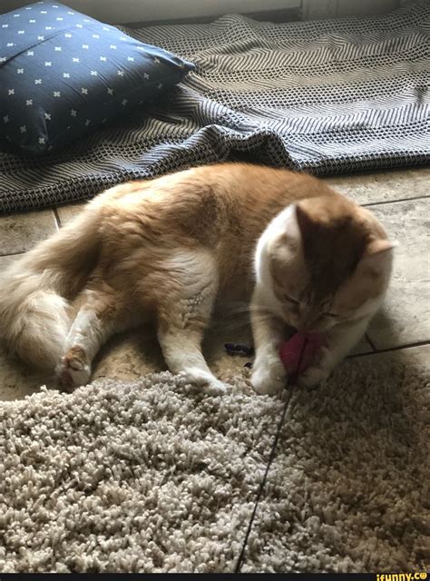 Boottime Memes Best Collection Of Funny Boottime Pictures On Ifunny