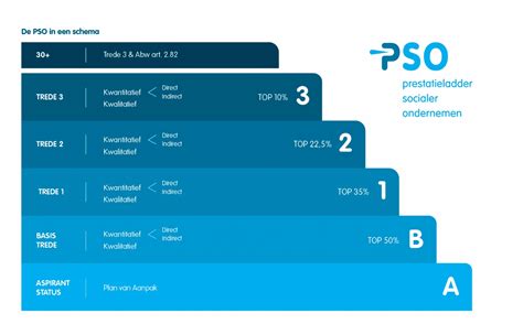 Prestatieladder Socialer Ondernemen Pso Sroi Codex