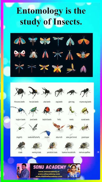 subscribe youtubeshorts shortsfeed viral shortsvideo viralvideo youtube