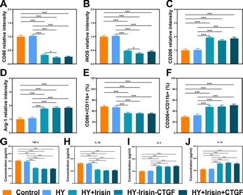 Regulating Inflammation Microenvironment And Tenogenic Differentiation