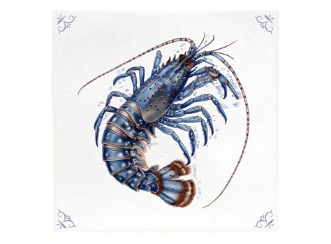 Crawdad Crayfish Tile Delft Blue Kitchen Tile Bathroom Tile Wall