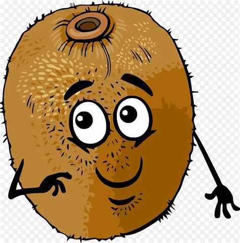 猕猴桃png图片素材下载图片编号11021761 Png素材网