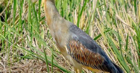 Maria Faceira 377958 Biofaces Bring Nature Closer