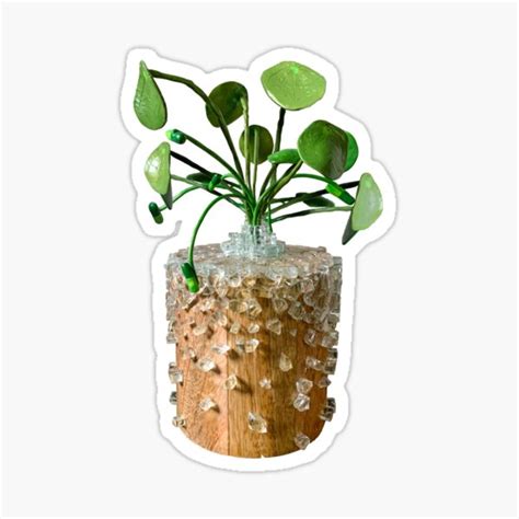 Pilea Peperomioides Sticker For Sale By Lara The Kat Redbubble