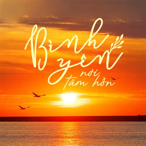 Primrosy Collagen Viên Uống Nội Tiết Tố Hanoi