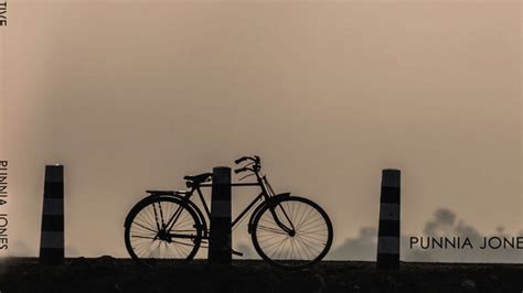 Divergent Perspective By Punnia Jones Photography Portfolio