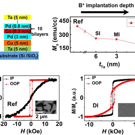 A Schematic Illustration Of The Sample Structure B The Saturation