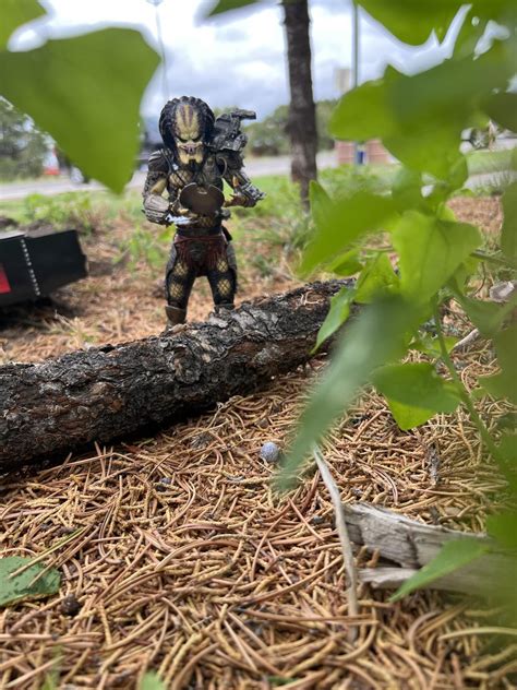 Jungle Hunter Pose That I Did In Colorado Rpredator