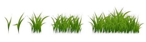 Premium Vector Grass Borders Set Isolated White Background