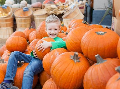 Where To Pick Pumpkins Near San Ramon This Fall San Ramon Ca Patch
