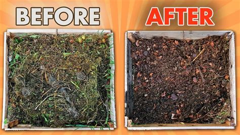 Composting For Beginners
