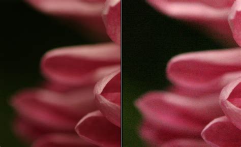 Iso Settings In Digital Photography