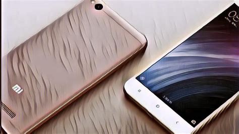 Wajib Tahu Ini Lho Persamaan Dan Perbedaan Redmi X Vs Redmi A Paragram Id