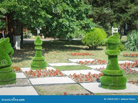 Large Chess Pieces Stock Image Image Of Play Queen 130541329