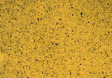 Introduce And Evaluate An Unmanned Ground Sprayer For Vineyards And Orchards