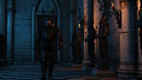 Nilfgaardian Guardsman Armor Set Rwitcher