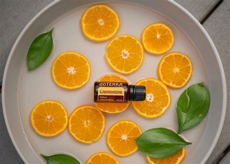 Alluring Aromas What Is A Nebulizing Diffuser