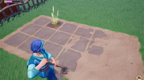 Best Farming Layout In Palia Touch Tap Play