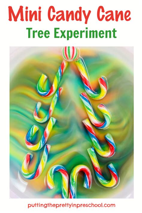 Candy Cane Tree Experiment