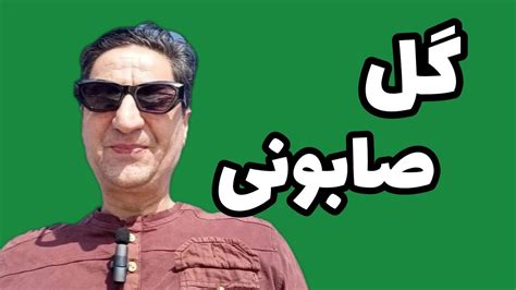 گل صابونی در دفینه گل صابونی در گنجیابی گل صابونی در زیرخاکی گل صابونی درمکان باستان رضاابراهیمی