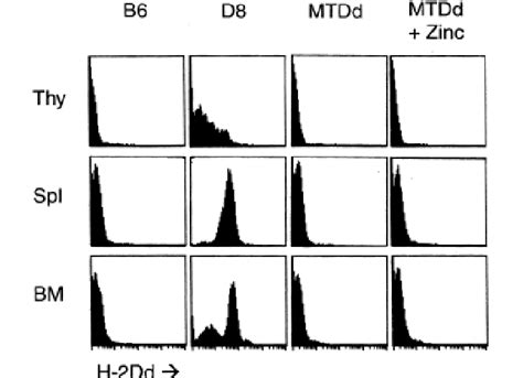 Flow Cytometry Analysis Of H 2d D Expression On Single Cell Suspensions