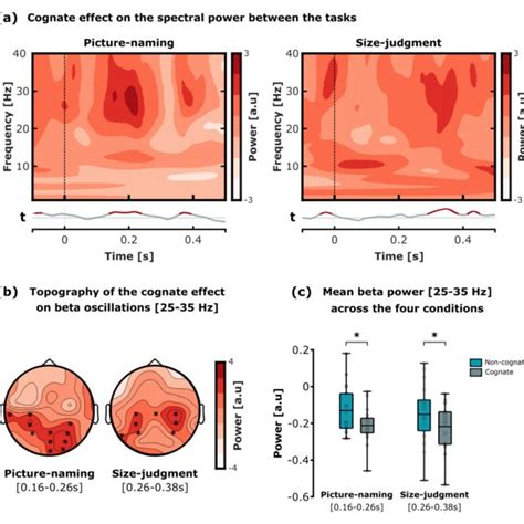 Cognate Effect Non Cognates Versus Cognates Modulation On Beta Download Scientific Diagram