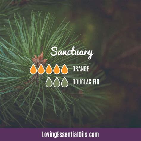 Orange Diffuser Blends 10 Blissful Essential Oil Recipes Recipe