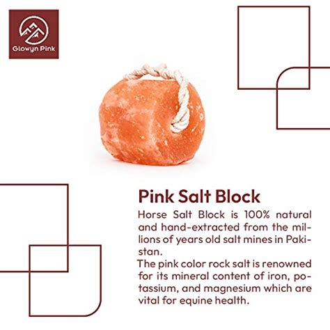 The 9 Best Salt Licks For Humans Of 2026 Verified Cherry Picks