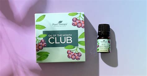 How To Clean An Essential Oil Diffuser Plant Therapy