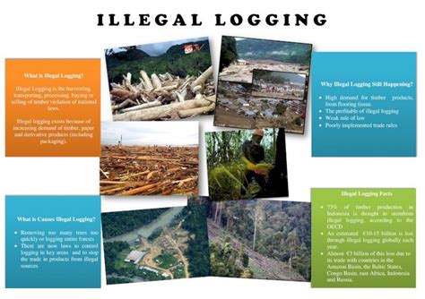 Pdf Poster Of Illegal Logging Dokumen Tips