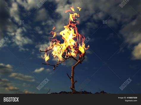 Burning Bush Bible
