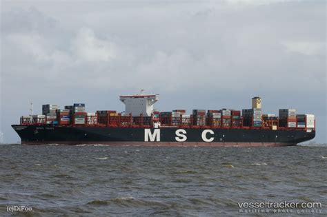 Msc Ingy Vessel Photos For Dieter