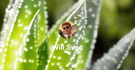 Will Svec Will Svec Communauté Photos Unsplash