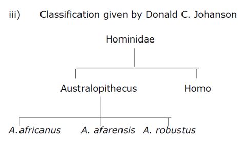 Ramapithecus 1 Anthropology For Upsc Optional