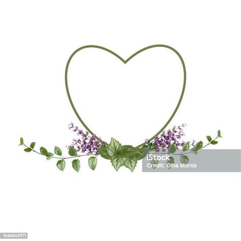심장 모양의 꽃꽂이 세이지 꽃과 녹색 잎은 흰색 배경에 격리되어 있습니다 웨딩 디자인 요소 축제 꽃꽂이입니다 녹색 가지의 경계입니다 프레임 나뭇잎 공간을 복사합니다 0명에