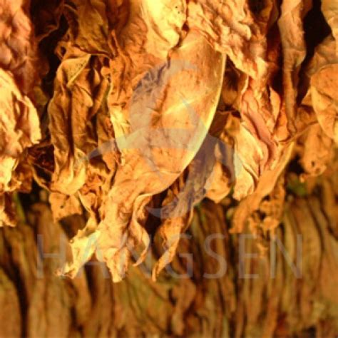 Hangsen E Liquid Ry4 Tobacco 10ml Vaping Heaven