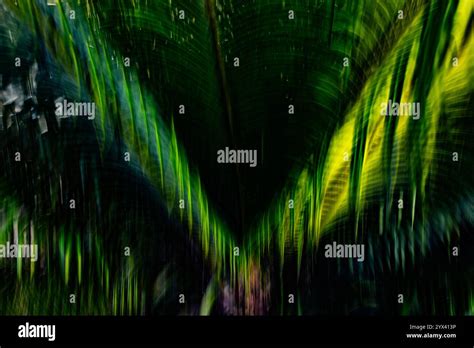 Long Exposure Abstract Art Photography With Camera Movement Fuzzy