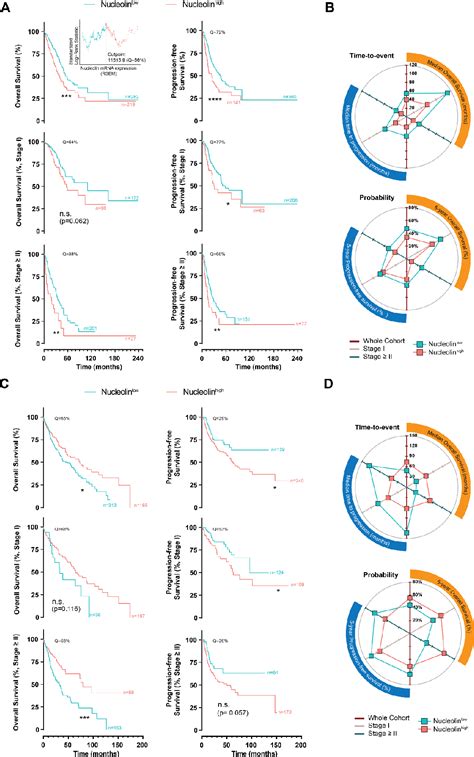 Figure 1 From Nucleolin Overexpression Predicts Patient Prognosis While