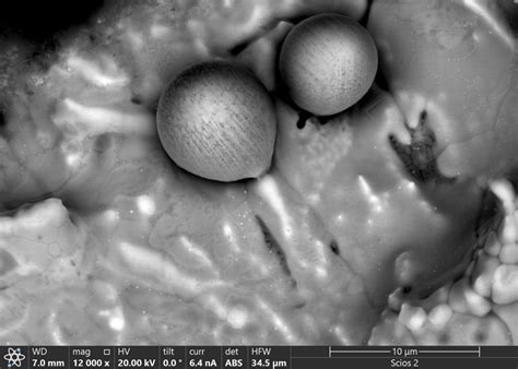 Avi Loeb Les Sphères Im1 De Locéan Pacifique Ont Une Composition