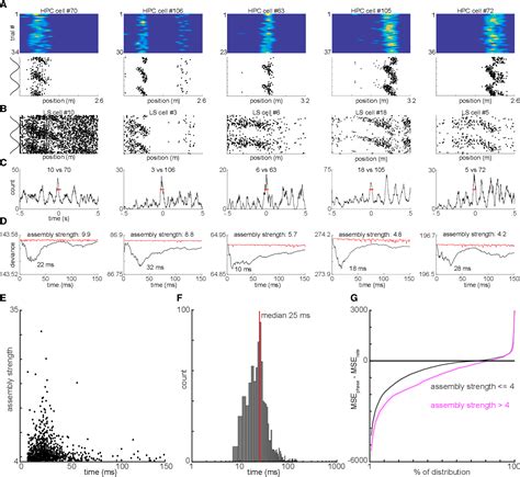 Figure 3 From Transformation Of A Spatial Map Across The Hippocampal