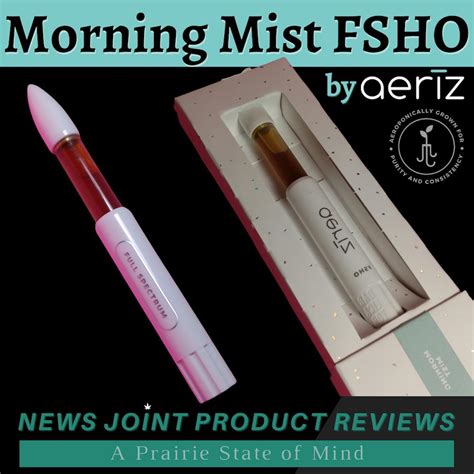 Review Morning Mist Fsho By Aerīz Illinois News Joint